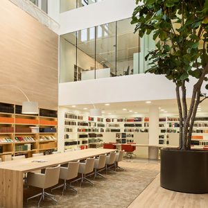 masai 椅子 意大利 arper [ 海居汇 ] 进口家具代购 海外家具代购 欧洲家具代购